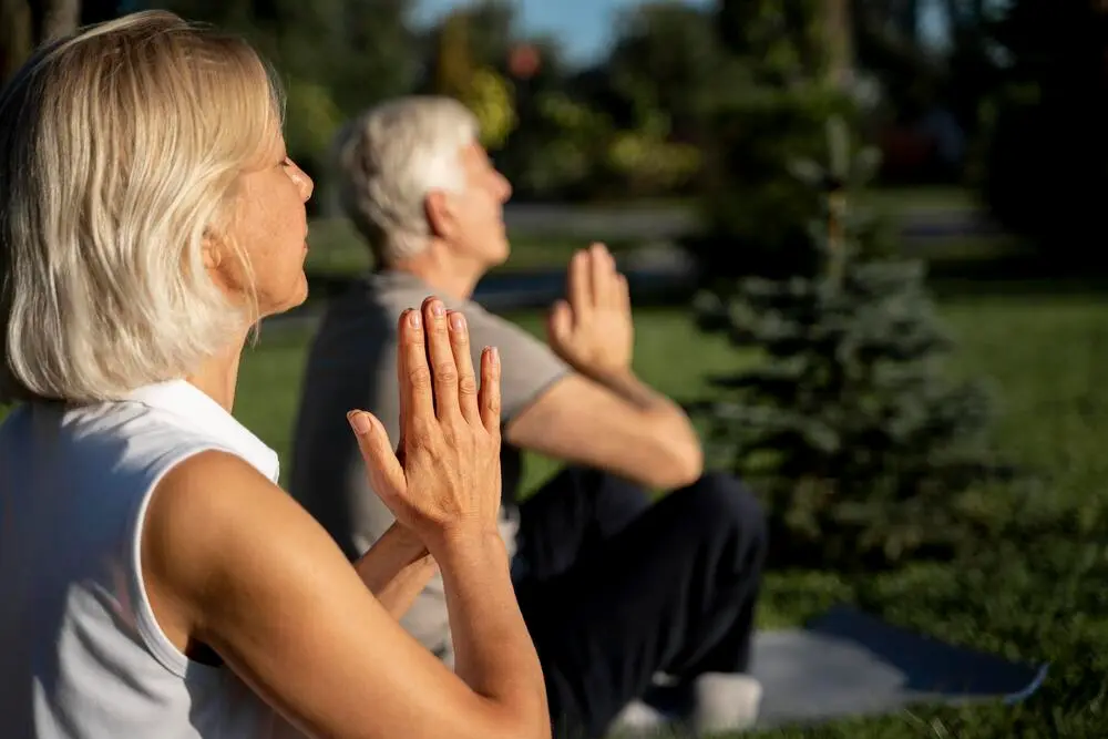 Meditation for Seniors Chicago IL, Pro Companion
